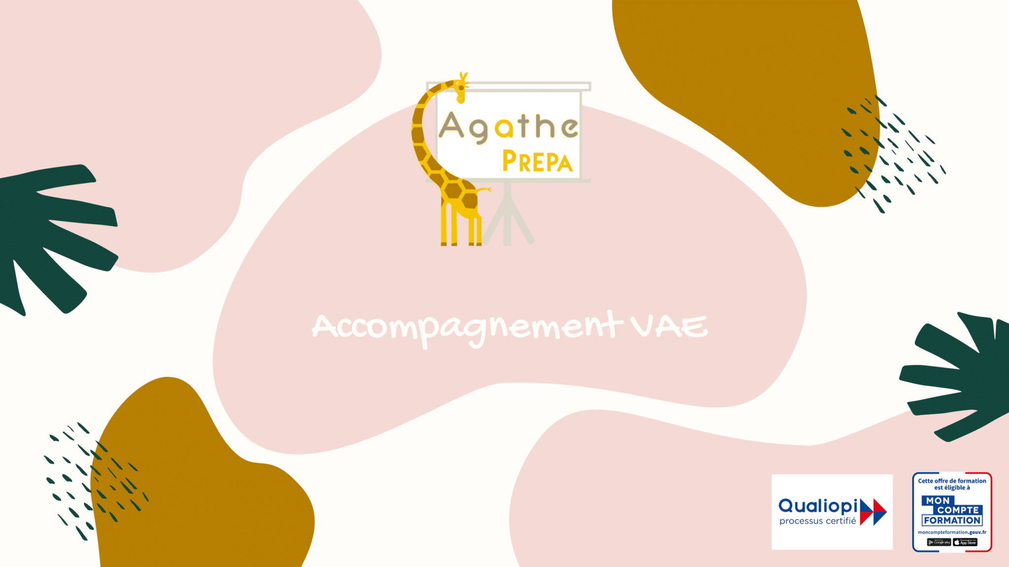 Validation des acquis et de l'expérience VAE AEPE, VAE EJE, VAE ...